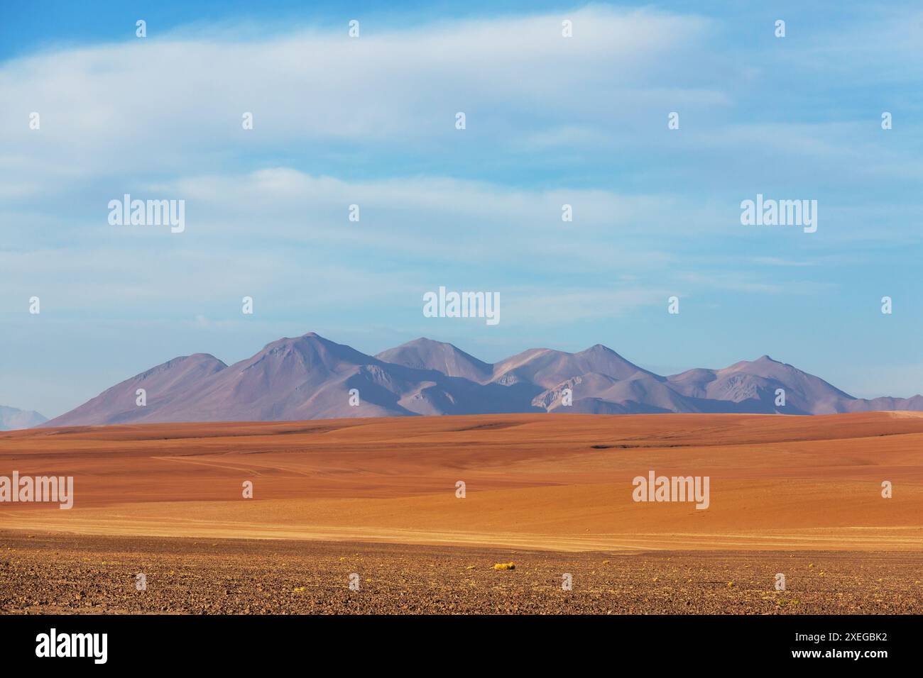 Altiplano location hi-res stock photography and images - Alamy