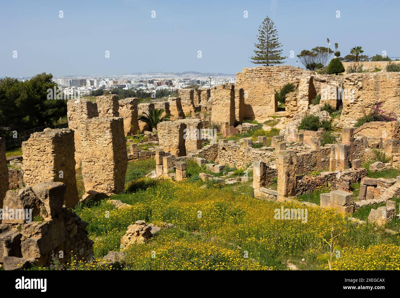 Ruins of house of Hannibal at the excavations of Carthage Stock Photo ...
