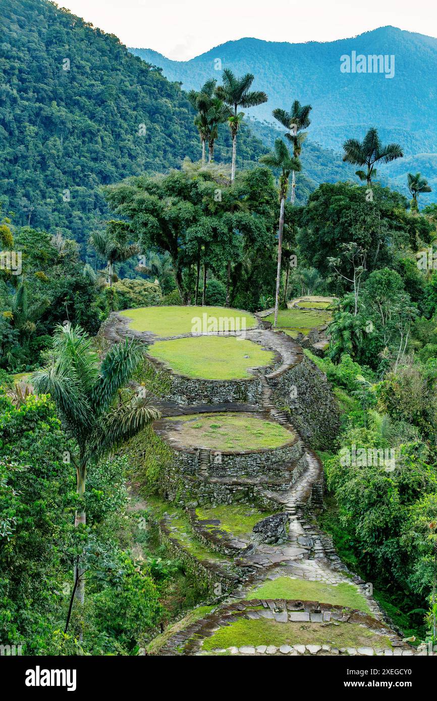 Ciudad Perdida Hike Hi Res Stock Photography And Images Alamy