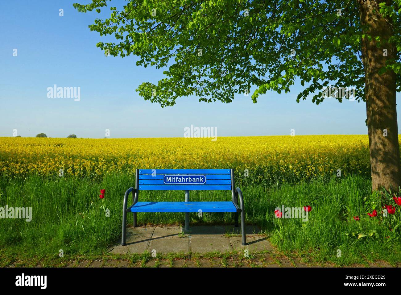 Ride-on bench in Holstein Switzerland, Germany Stock Photo - Alamy