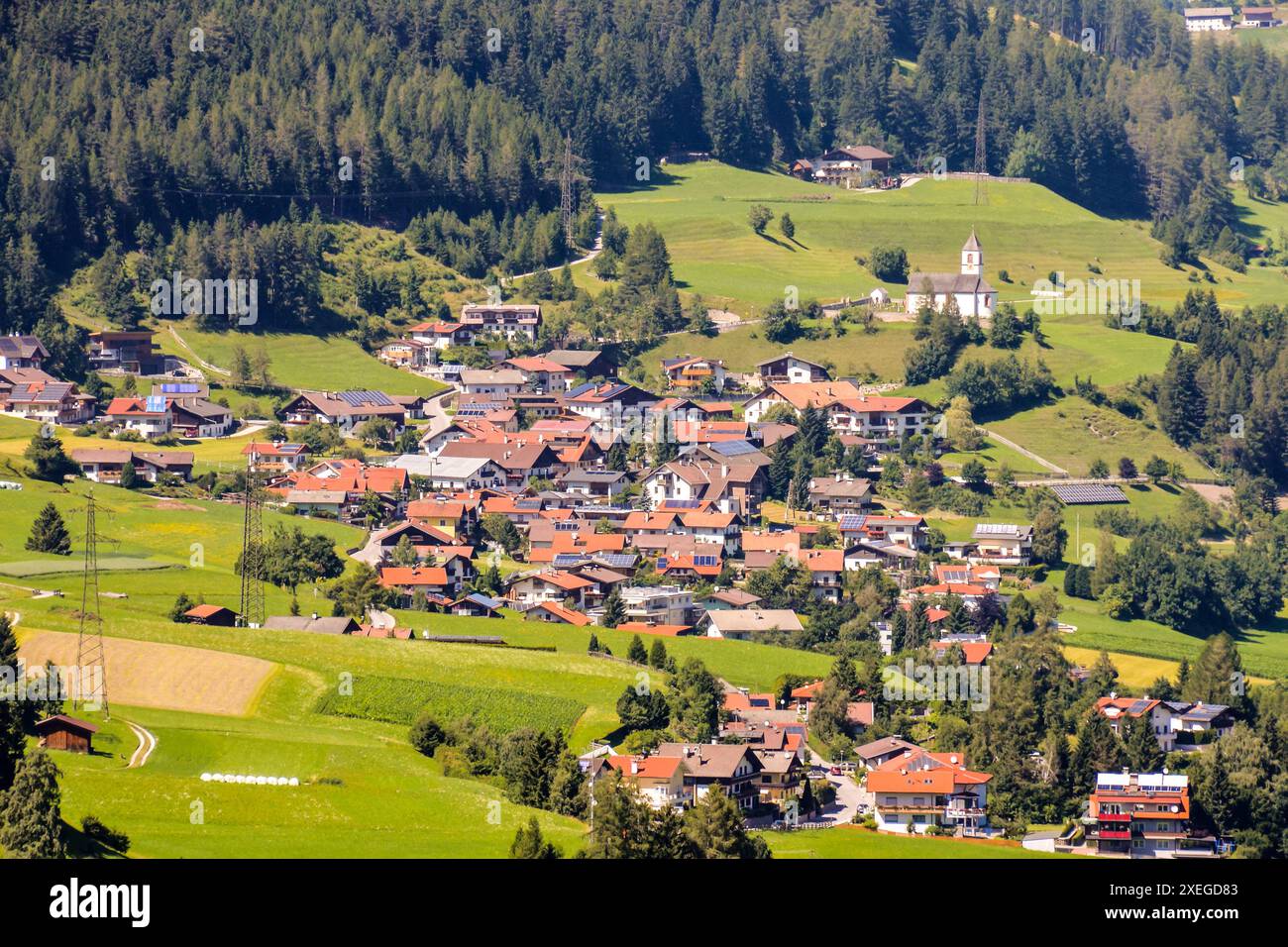 Seamless forest hi-res stock photography and images - Alamy