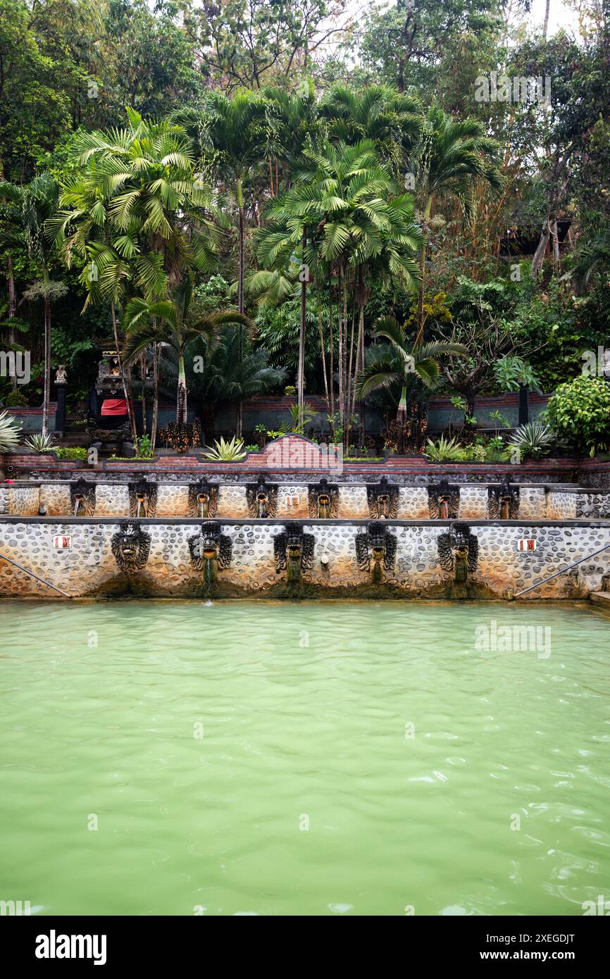 Hot springs, thermal bath in tropical jungle. Ritual sulfurous pool for ...