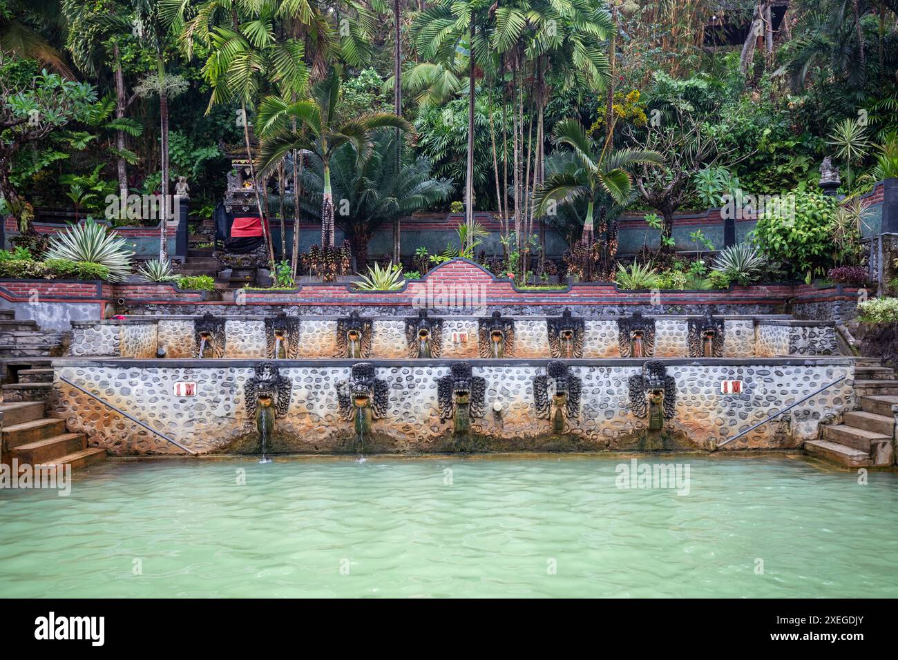 Hot springs, thermal bath in tropical jungle. Ritual sulfurous pool for ...