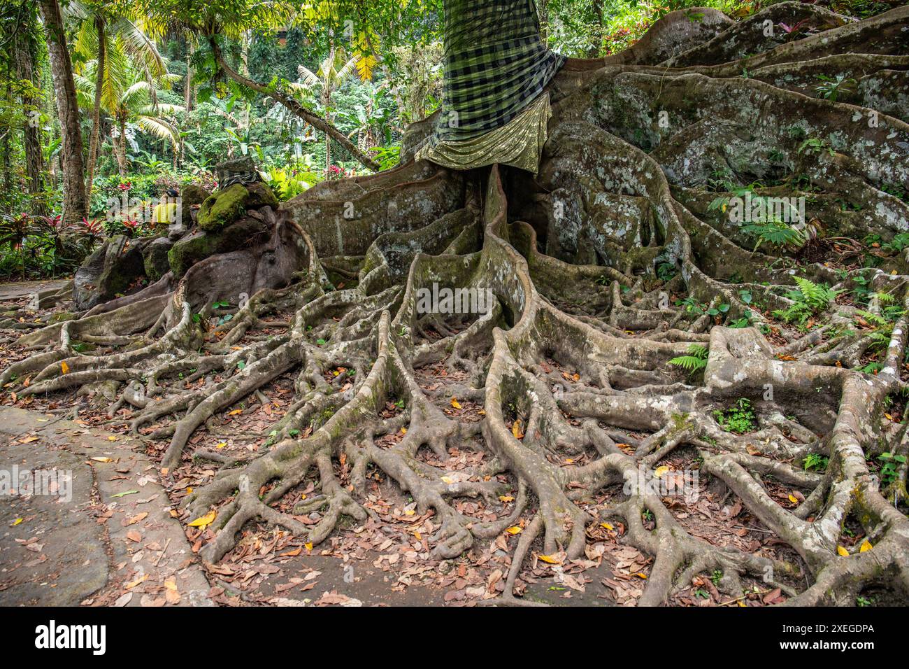 Goa Gajah â€“ Elephant Cave. Temple complex with garden Bali Indonesia ...