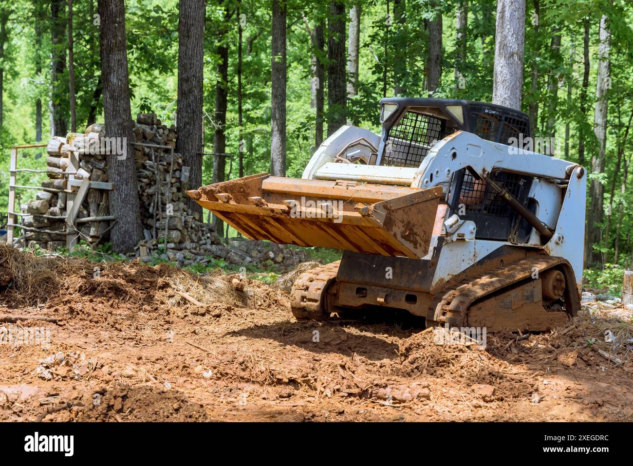 During earthworks tractor is leveling ground at forest with bucket ...