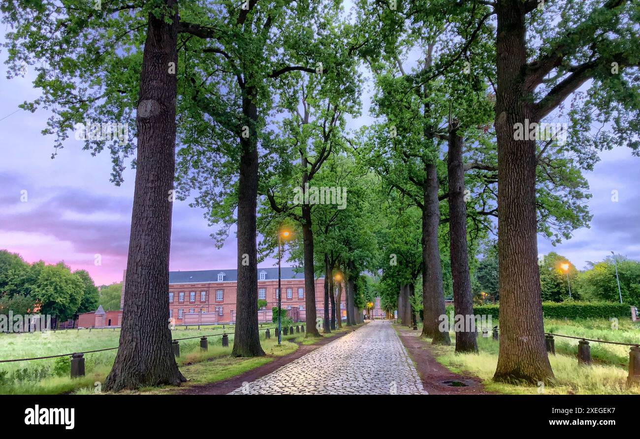 Dawn at Historic Tree-Lined Avenue with Cobblestone Path Stock Photo ...