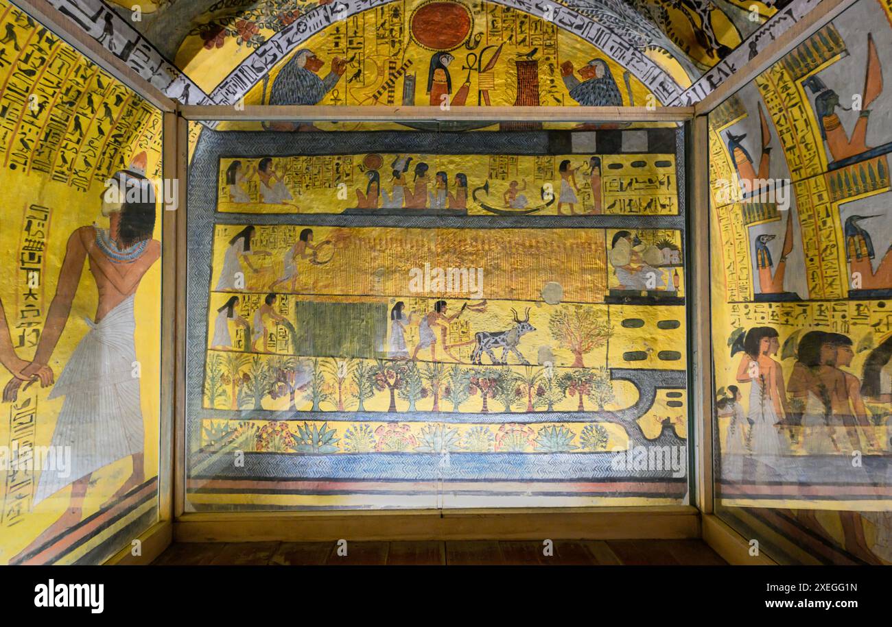 Hieroglyphics from TT 1, the tomb of Sennedjem in the workers village ...