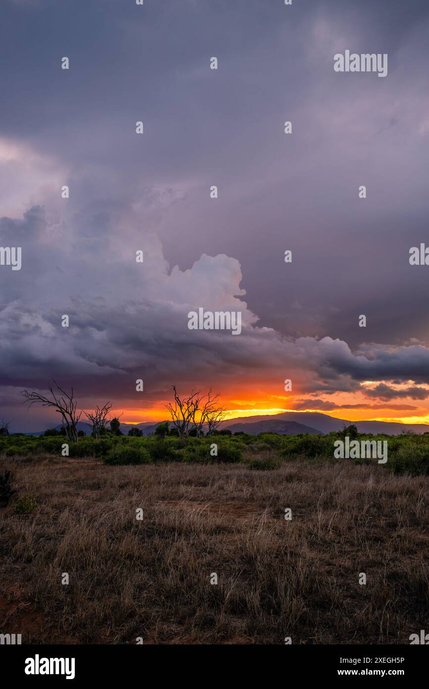 Rainy season in the savannah of Kenya. Landscape in Africa, sun, rain ...