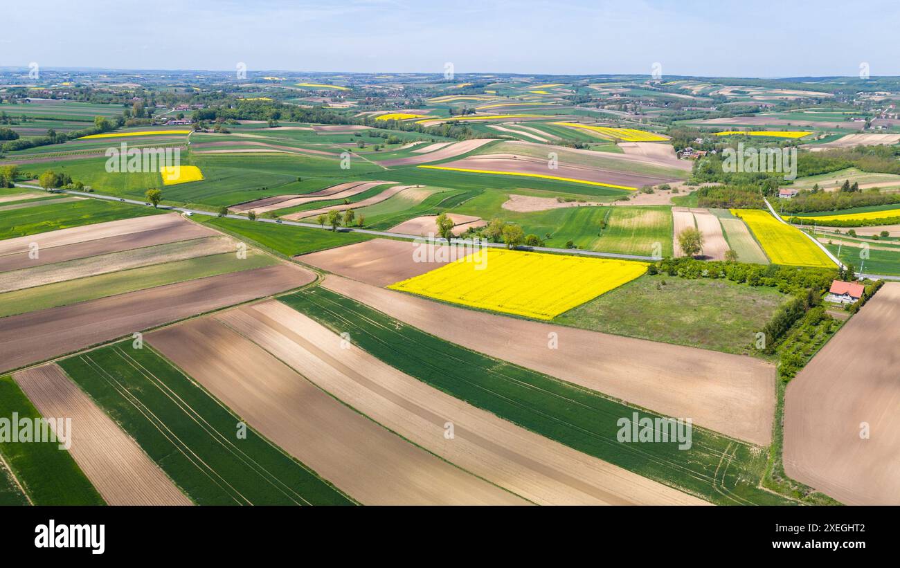 Colorful agriculture farmland and crop fields. Aerial drone view Stock ...