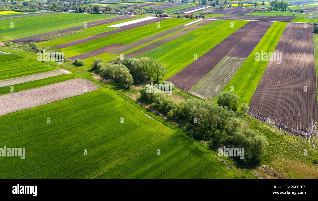 Aerial view harvesting fields hi-res stock photography and images - Alamy