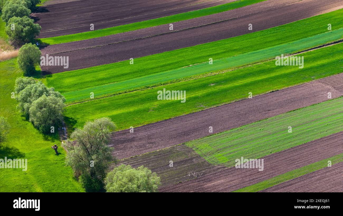 Aerial view harvesting fields hi-res stock photography and images - Alamy