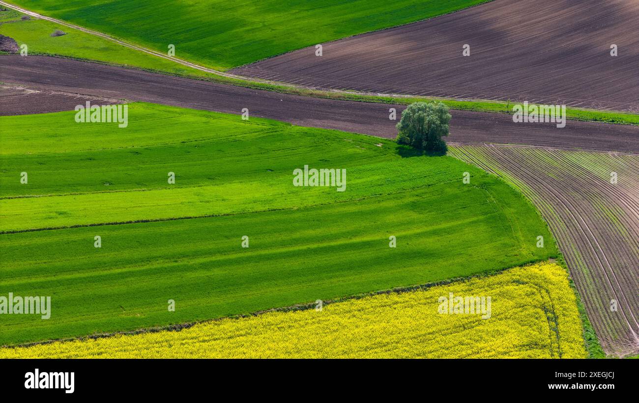 Agriculture crop landscape farmland hi-res stock photography and images ...