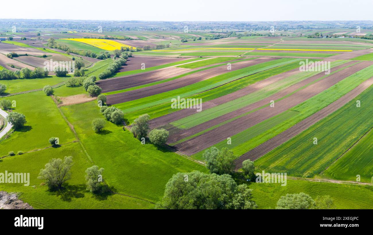 Colorful agriculture farmland and crop fields. Aerial drone view Stock ...