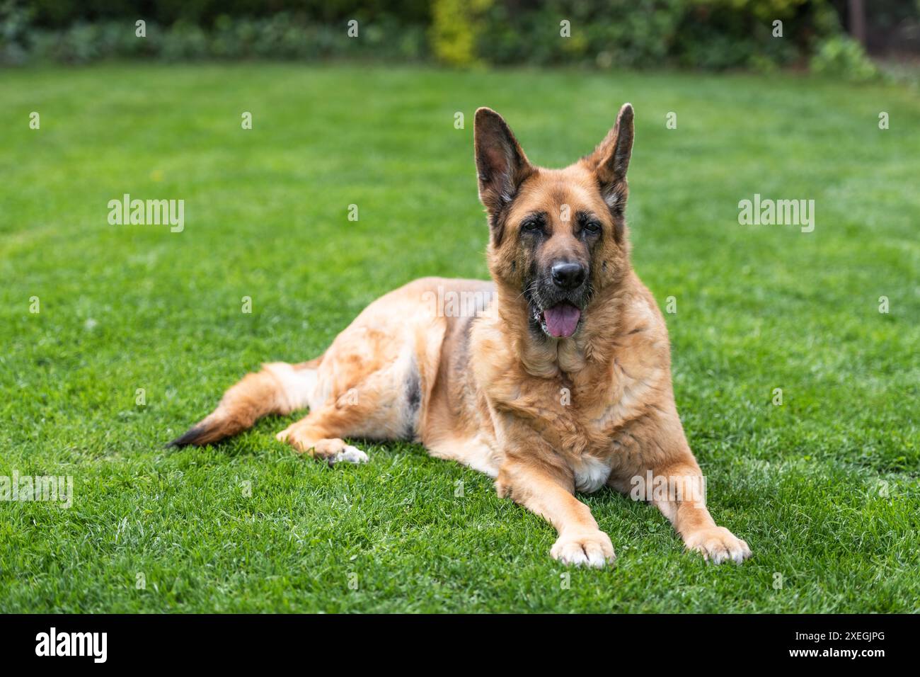 Full body portrait outdoor hi-res stock photography and images - Alamy