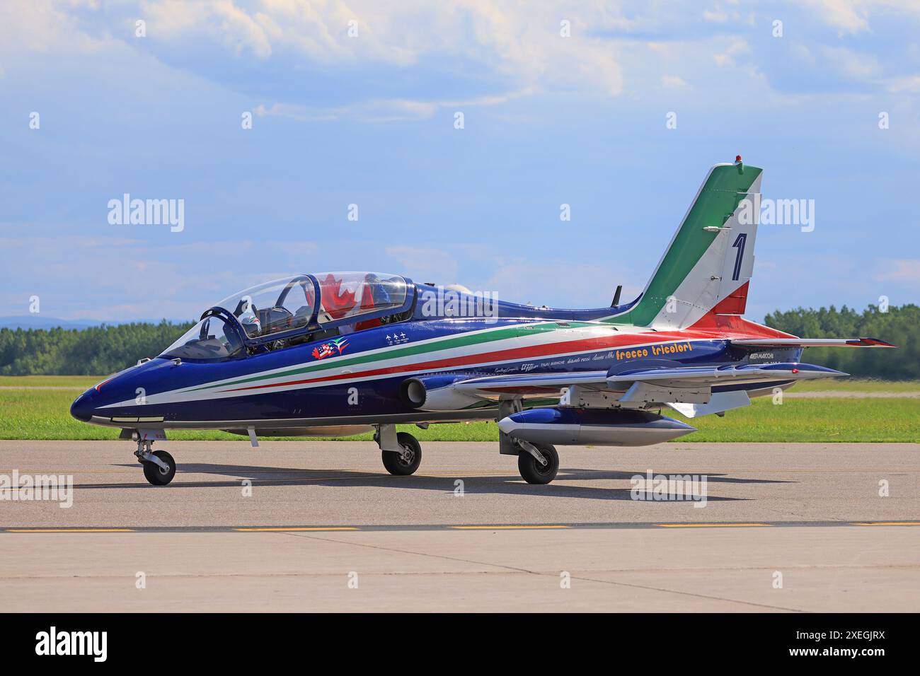 The Frecce Tricolori, Italy's celebrated aerobatic team plane landing ...