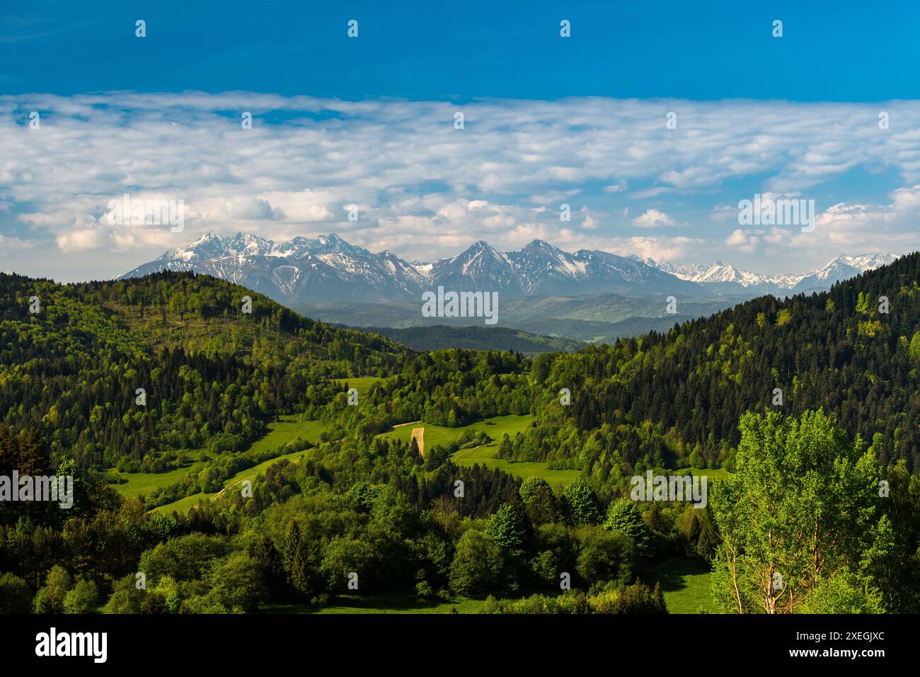 Green hills of Pieniny National Park and snowy Tatra Mountains in ...