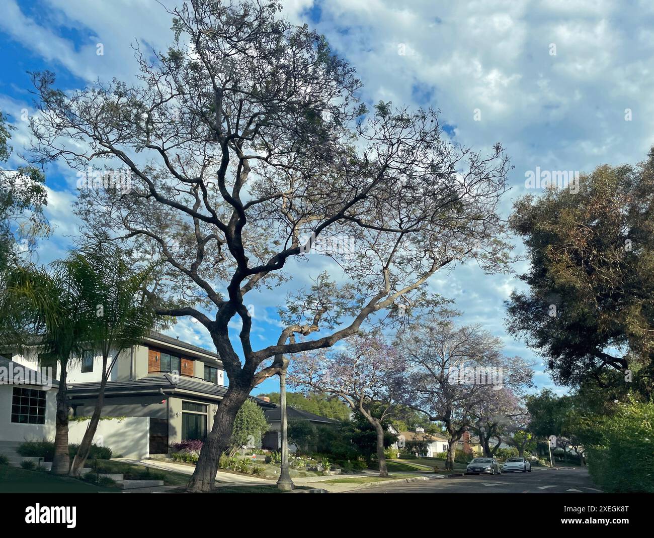 Newly remodeled two-story home in the middle-class neighborhood of ...