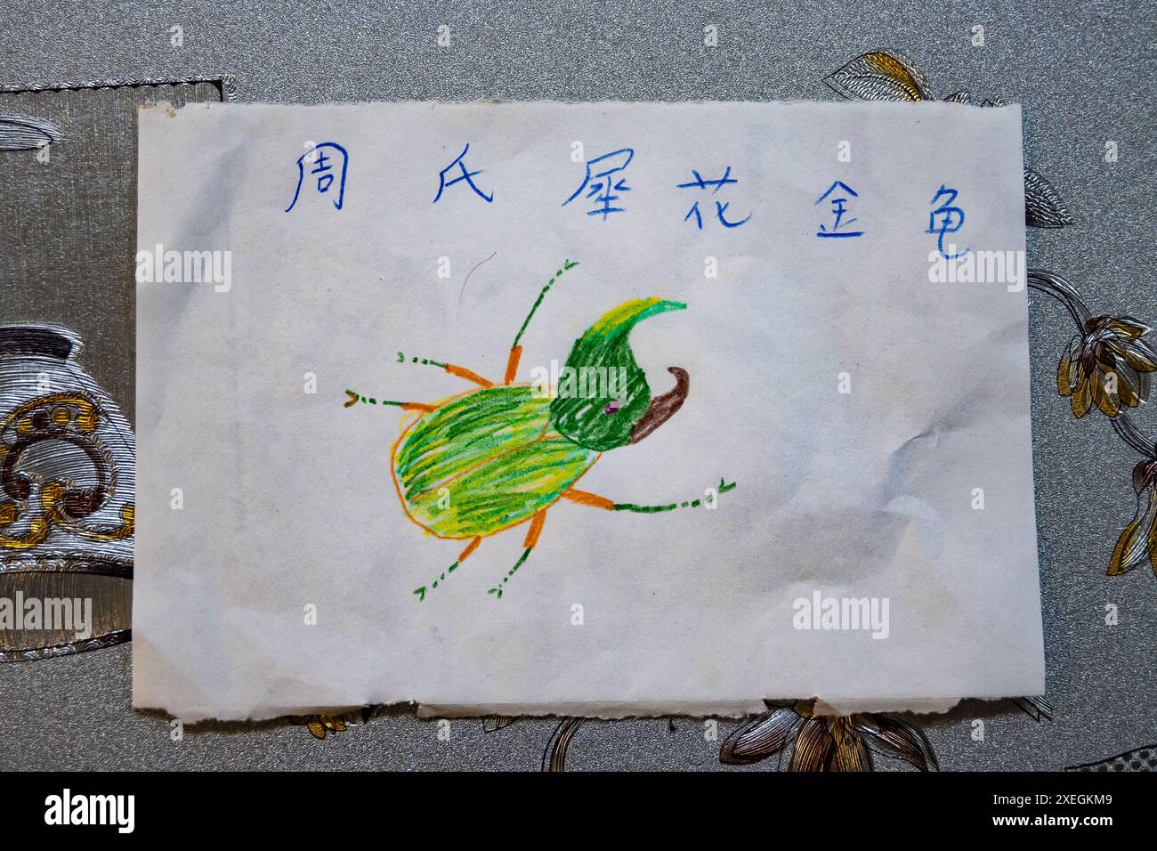A child's drawing of a green beetle, with name labelled in Chinese ...