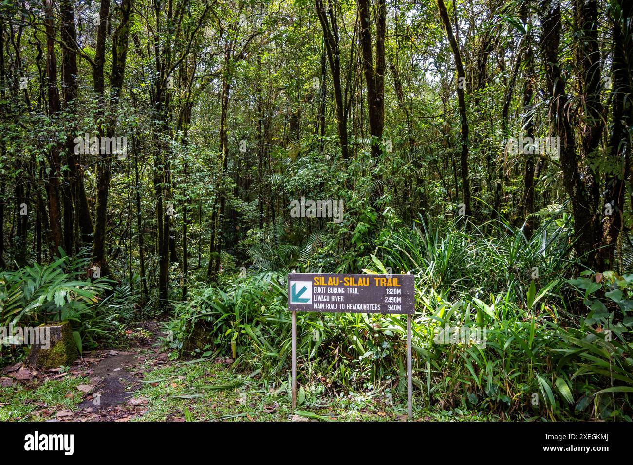 Kinabalu park hi-res stock photography and images - Alamy