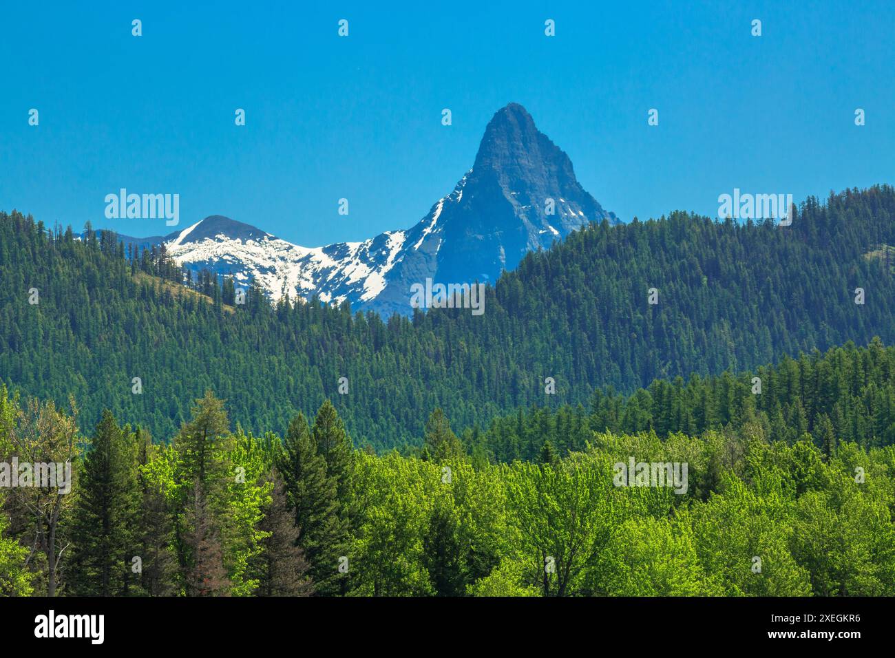 mount saint nicholas in glacier national park near essex, montana Stock ...