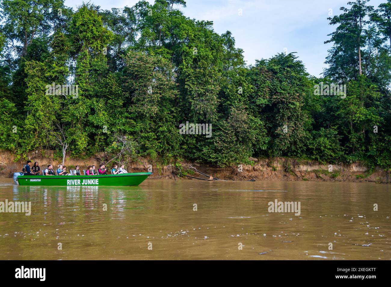 Boats with tourists cruising Kinabatangan River. Sabah, Borneo ...