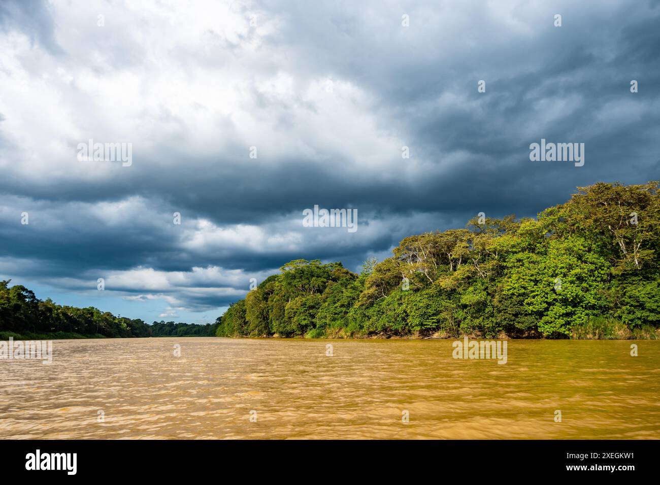 Kinabatangan River. Sabah, Borneo, Malaysia Stock Photo - Alamy