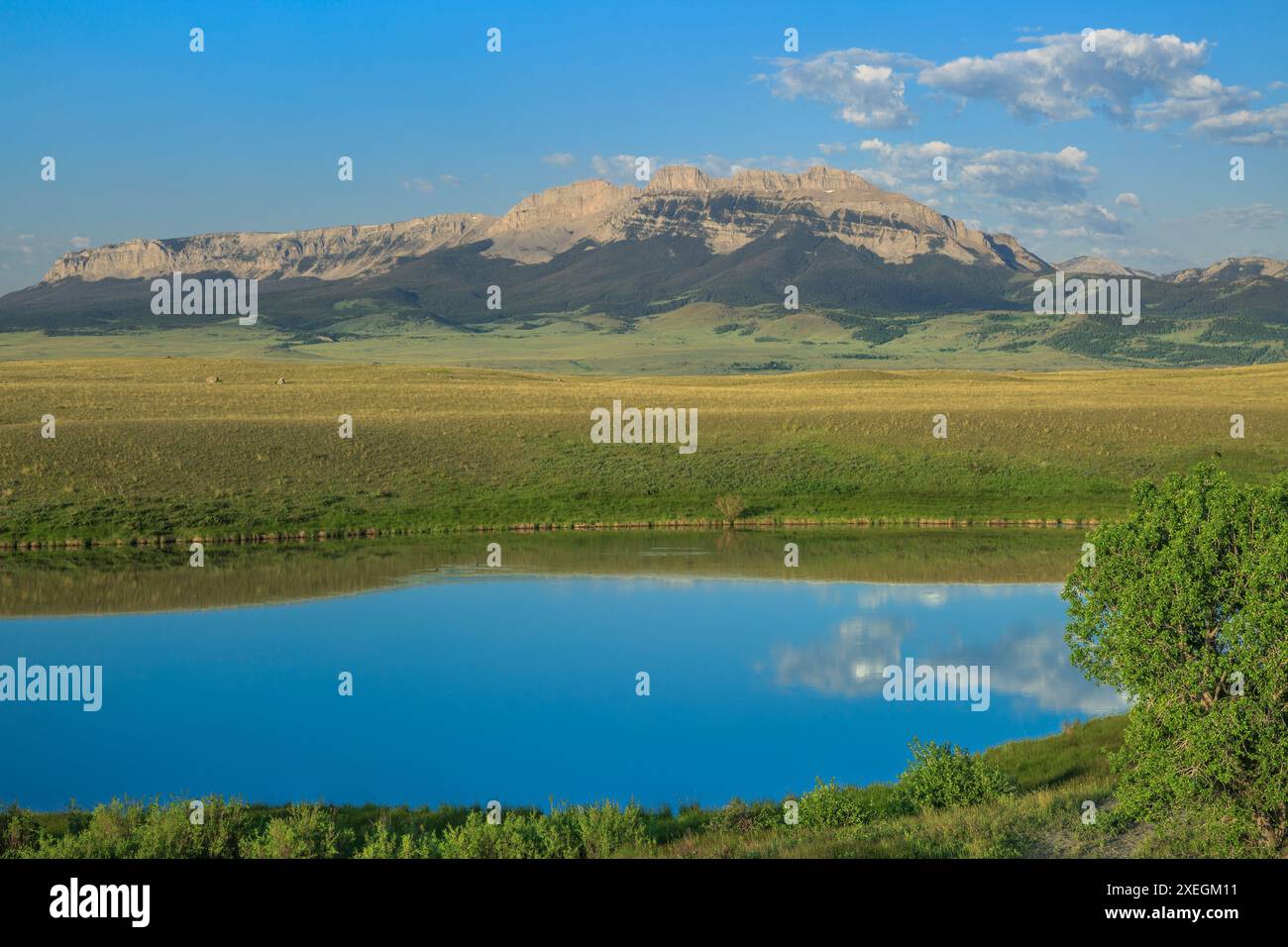 sawtooth ridge above a prairie pond near augusta, montana Stock Photo ...
