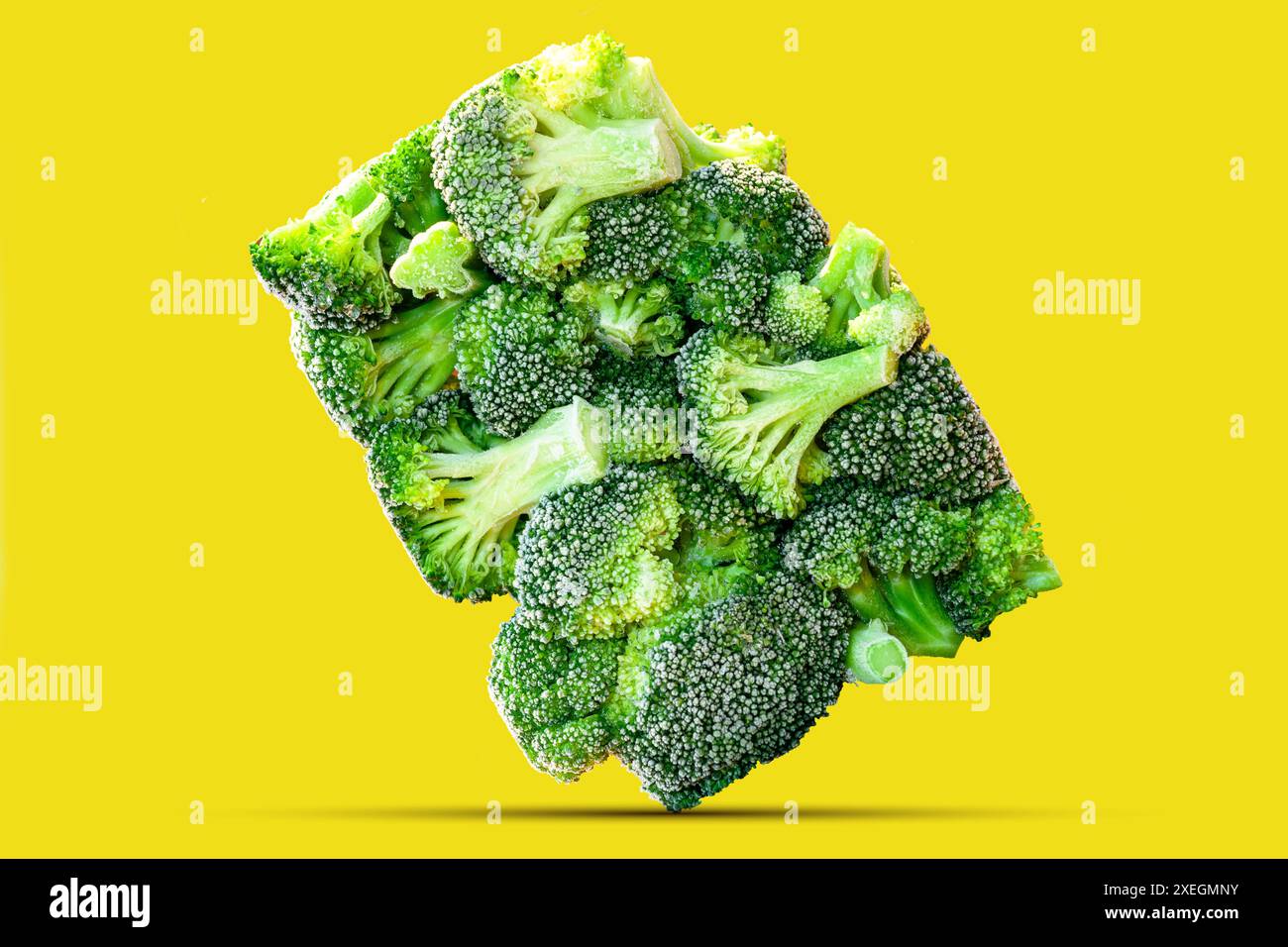 Fresh broccoli stands on edge. Frozen Organic broccoli florets in a ...