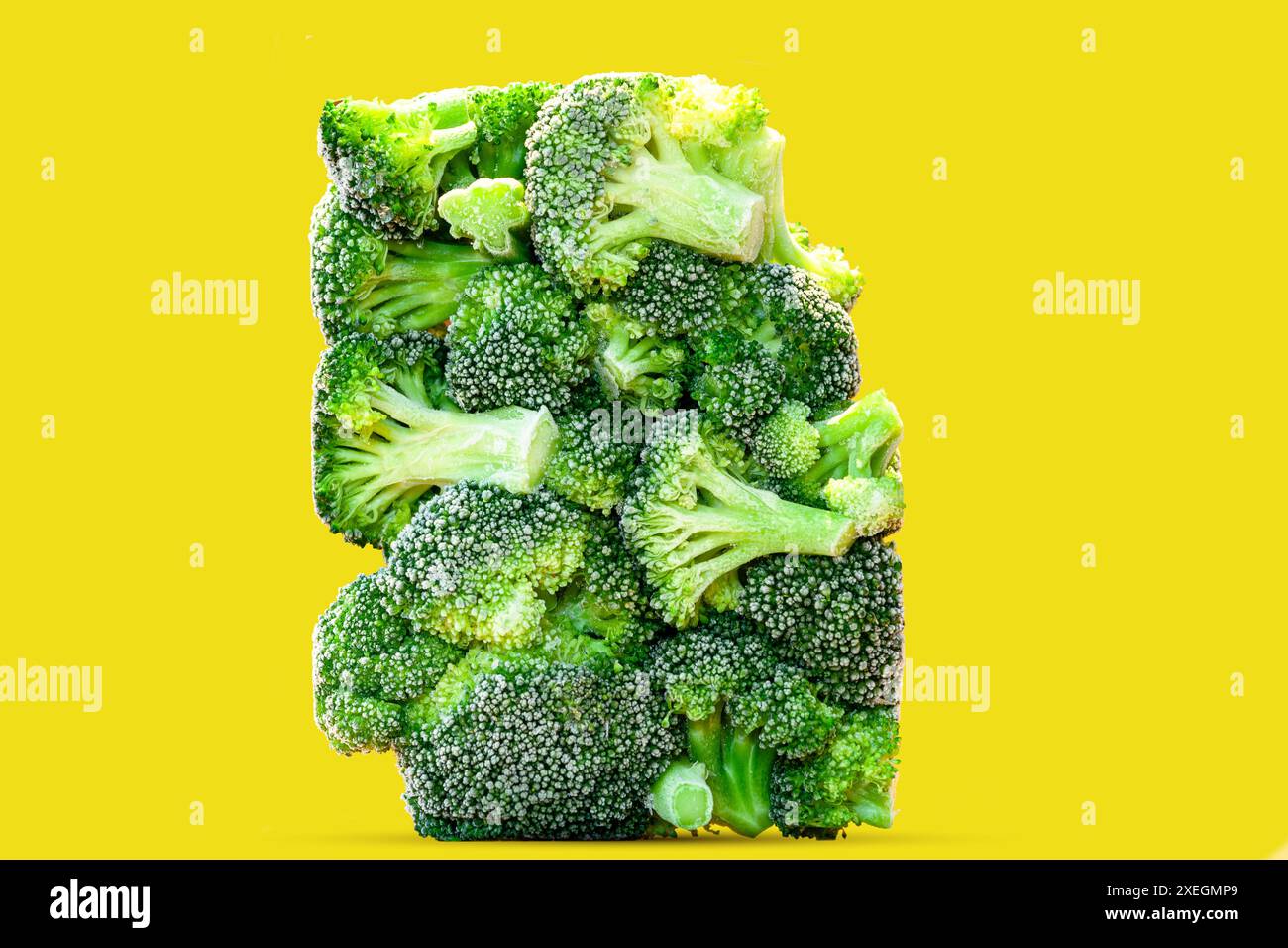 Frozen Organic broccoli florets in a rectangular shape in one piece on ...