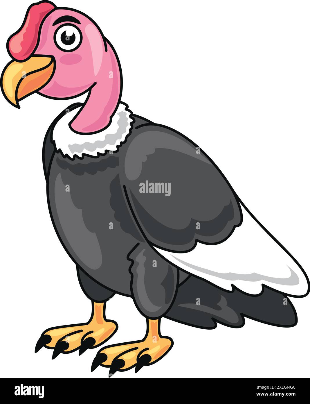 Andean bird species Stock Vector Images - Alamy