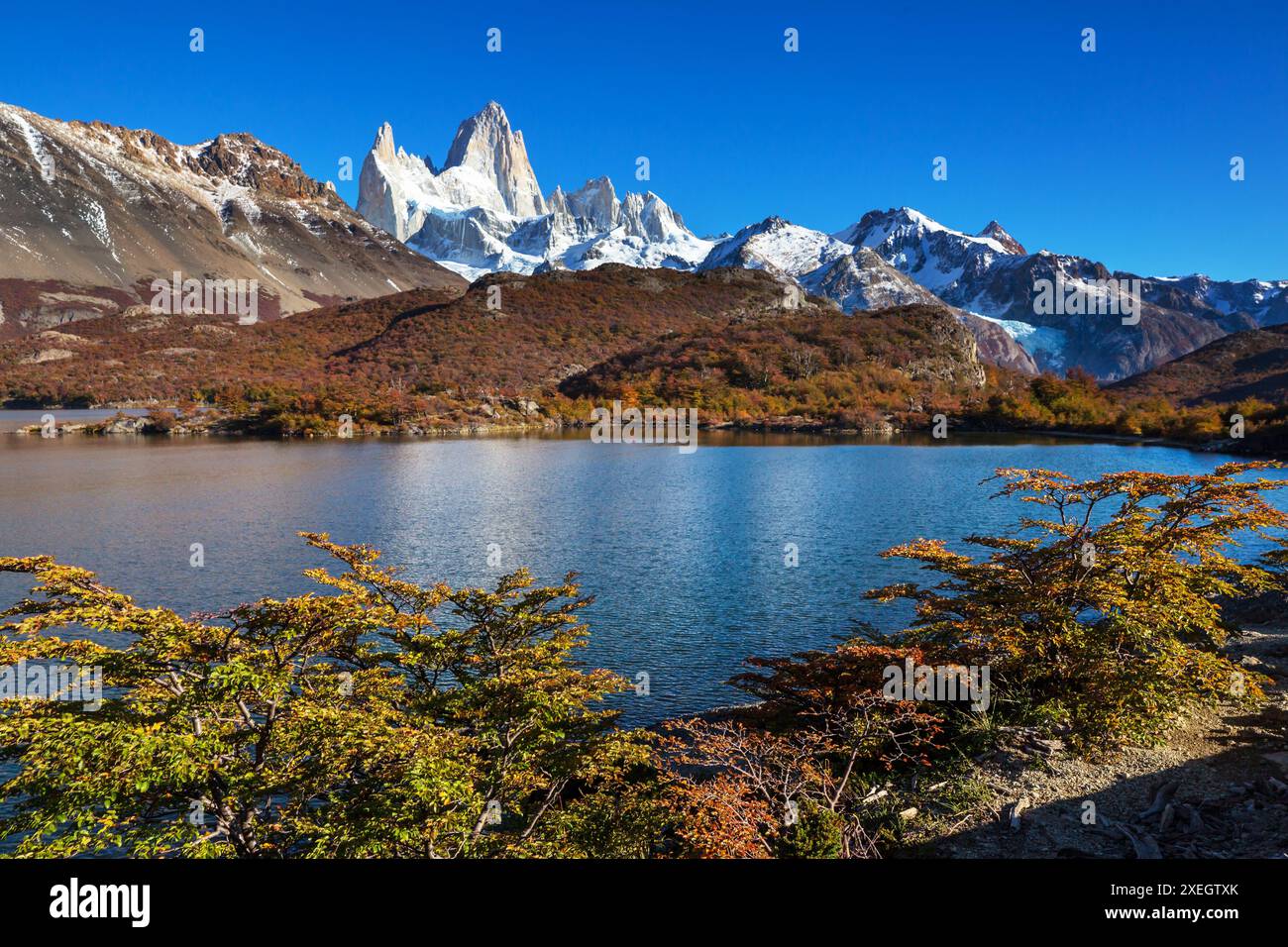 Autumn on Fitz Roy Stock Photo - Alamy