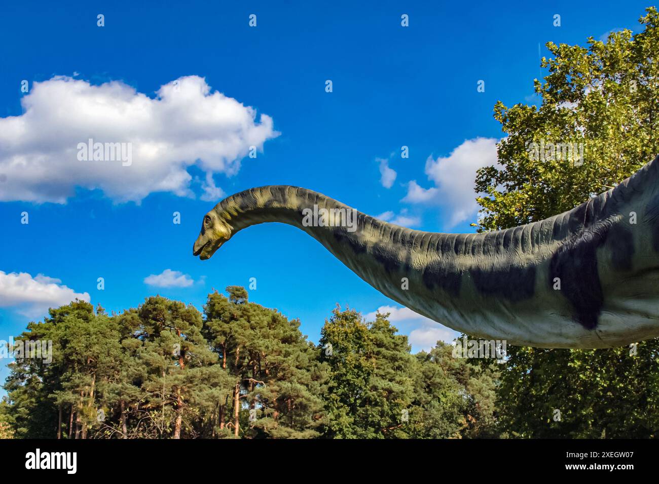 Sauriermodell hi-res stock photography and images - Alamy