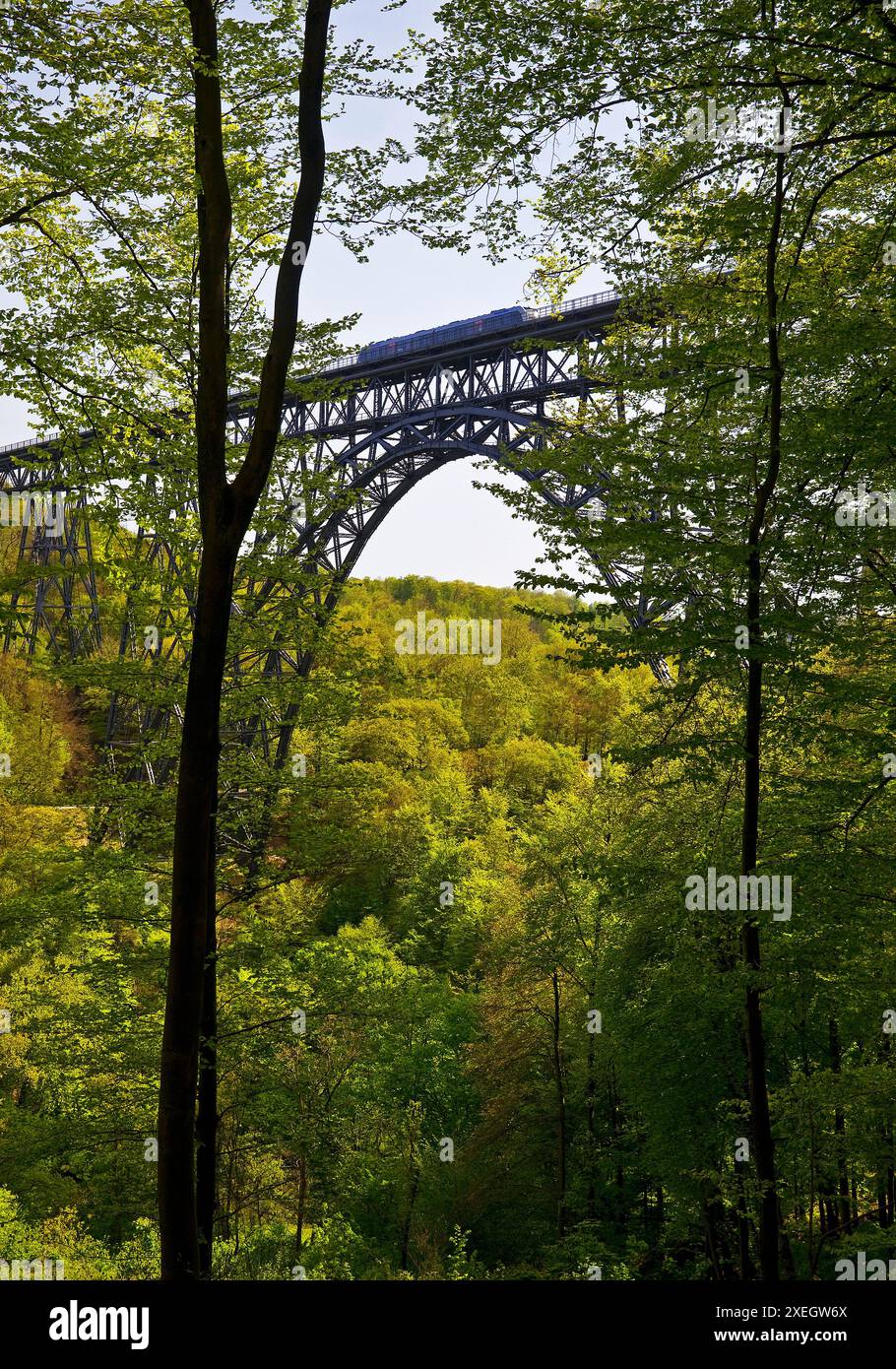Muengstener Bridge with diesel railcars, highest railway bridge in ...