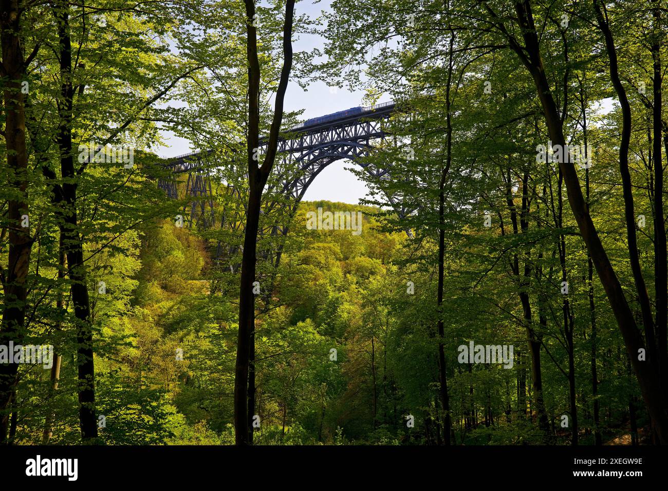 Muengstener Bridge with diesel railcars, highest railway bridge in ...