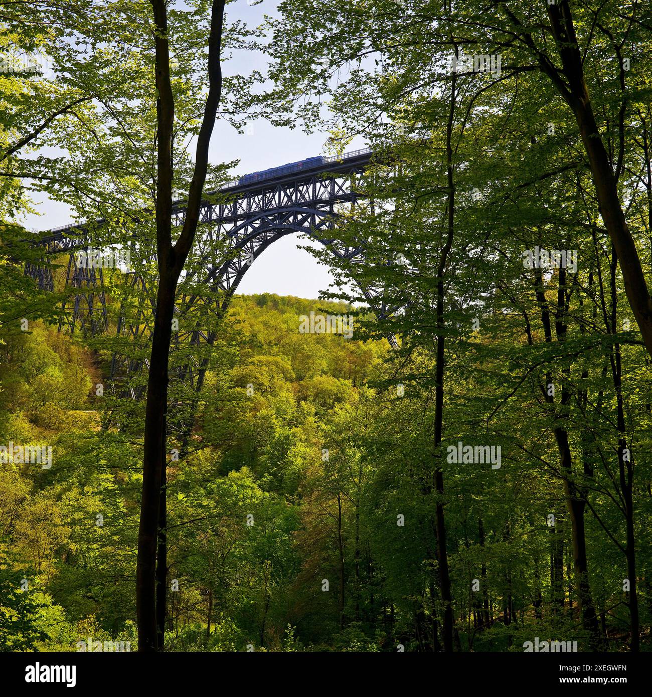 Muengstener Bridge with diesel railcars, highest railway bridge in ...