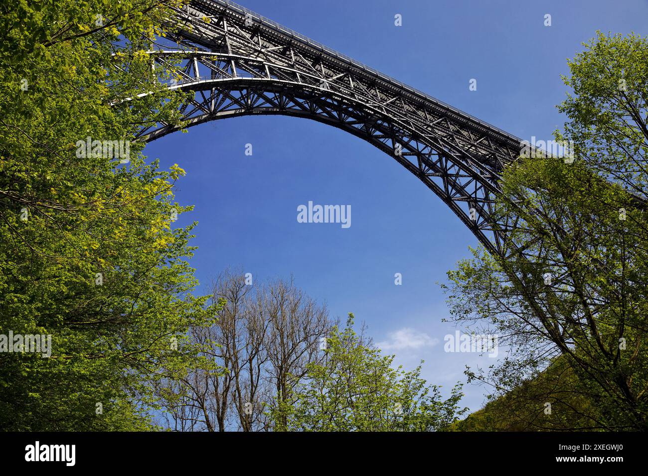 Looking up to the Muengstener Bridge, the highest railway bridge in ...