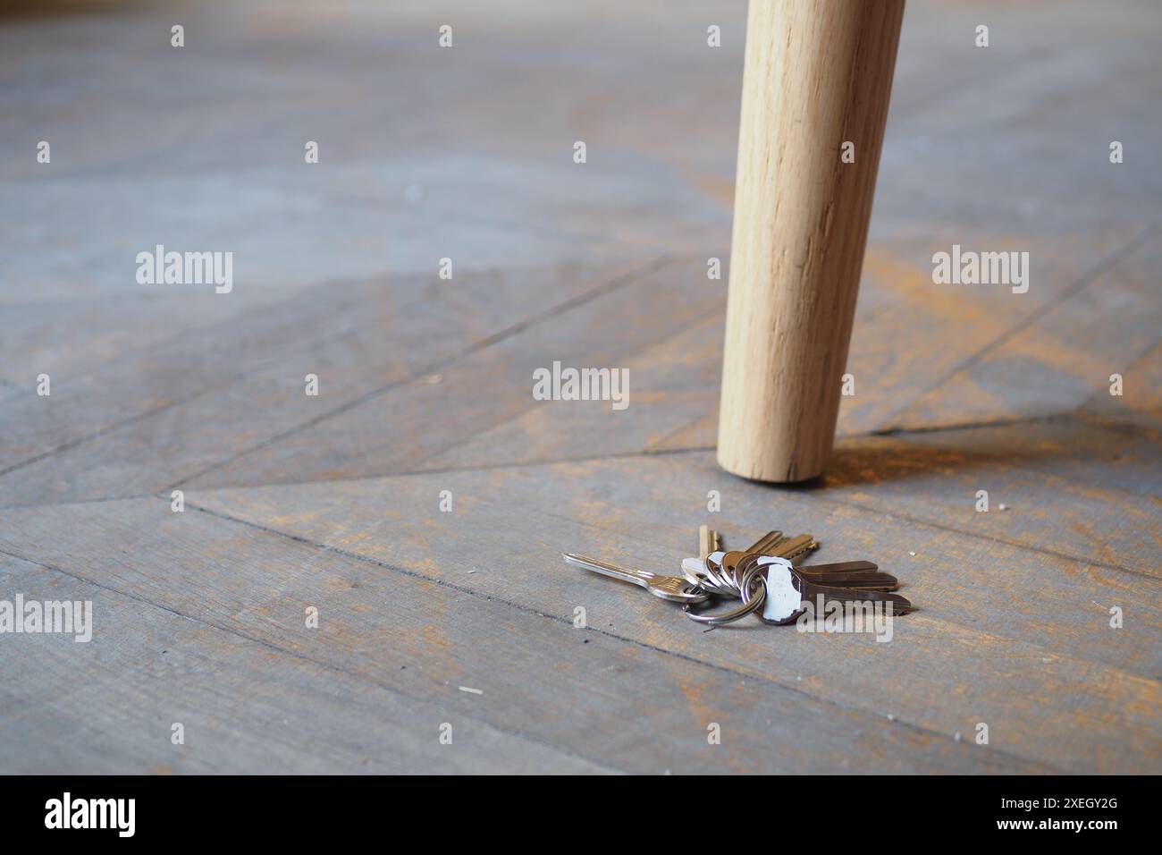 house keys on the ring on floor in a room. To forget keys at home ...
