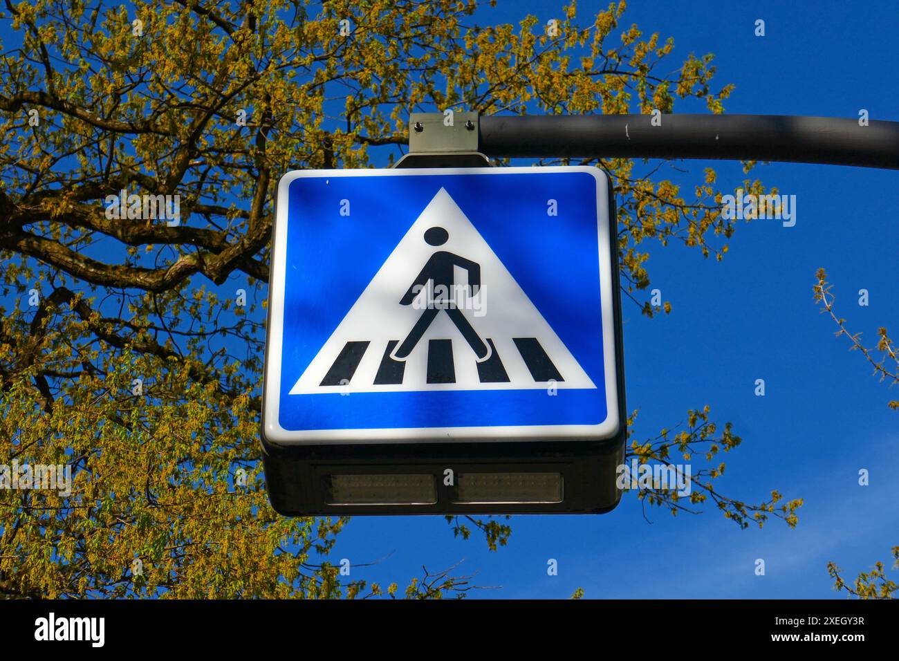 Crosswalk sign, Germany Stock Photo - Alamy