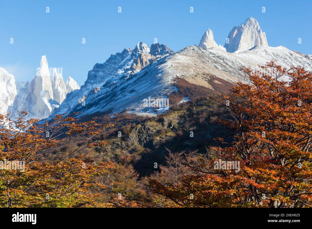 Autumn on Fitz Roy Stock Photo - Alamy