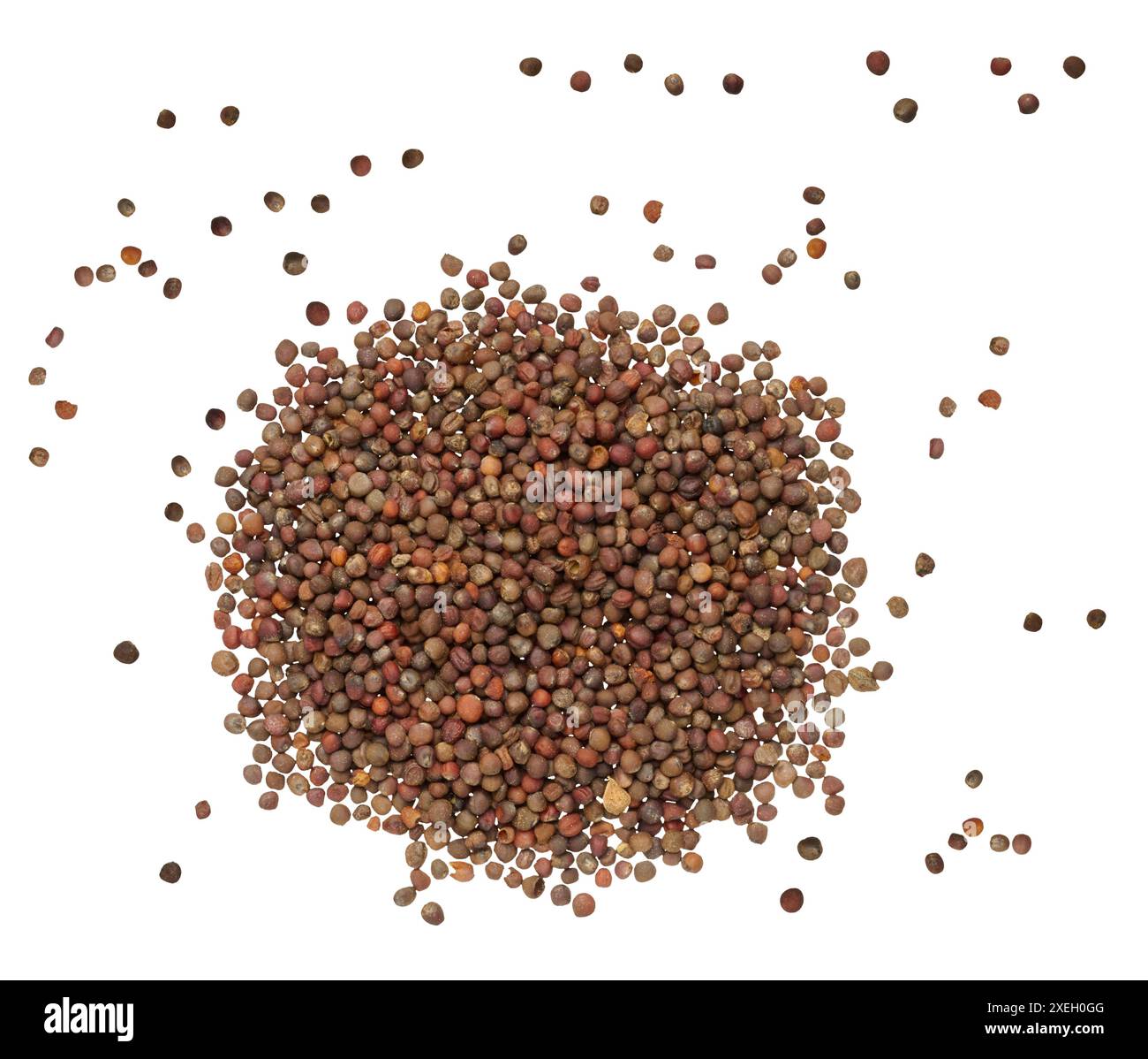 Scattered cabbage seeds, top view Stock Photo - Alamy