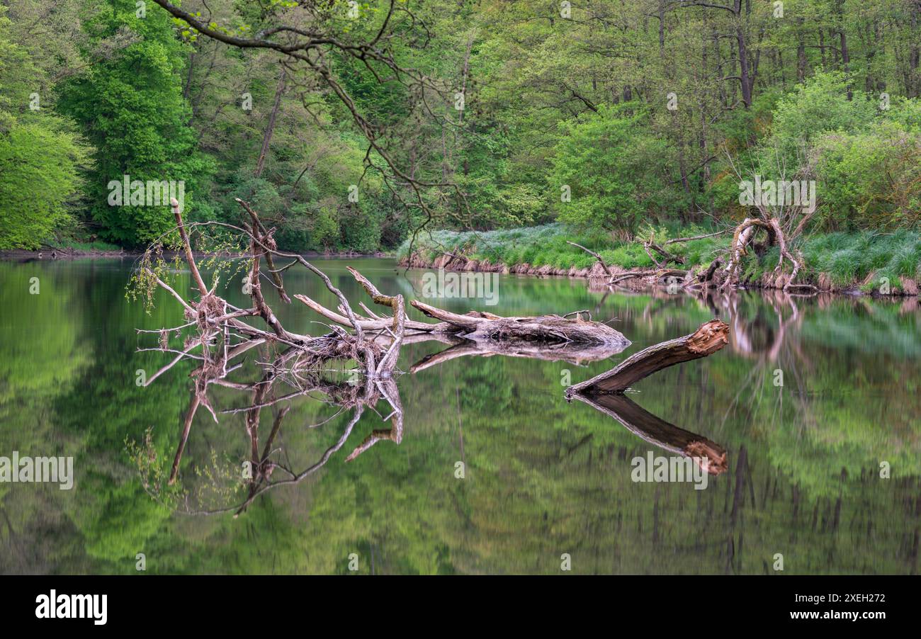 Thaya river hi-res stock photography and images - Alamy