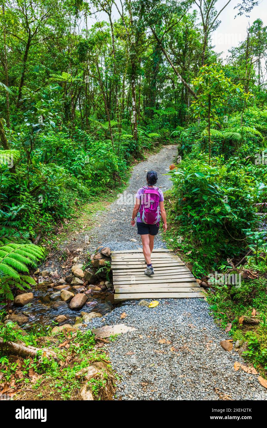 Hiker on the Rio Celeste trail, Tenorio Volcano National Park ...