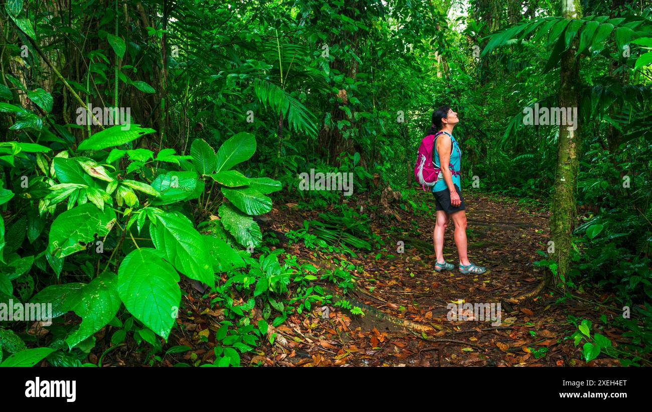 Woman exploring on a jungle trail, Alajuela Province, Costa Rica Stock ...