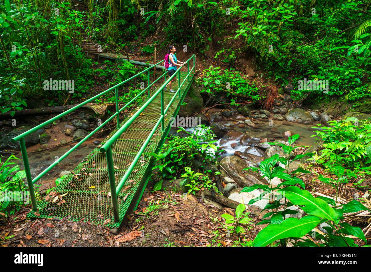 Hiker crossing a stream on a jungle trail, Alajuela Province, Costa ...