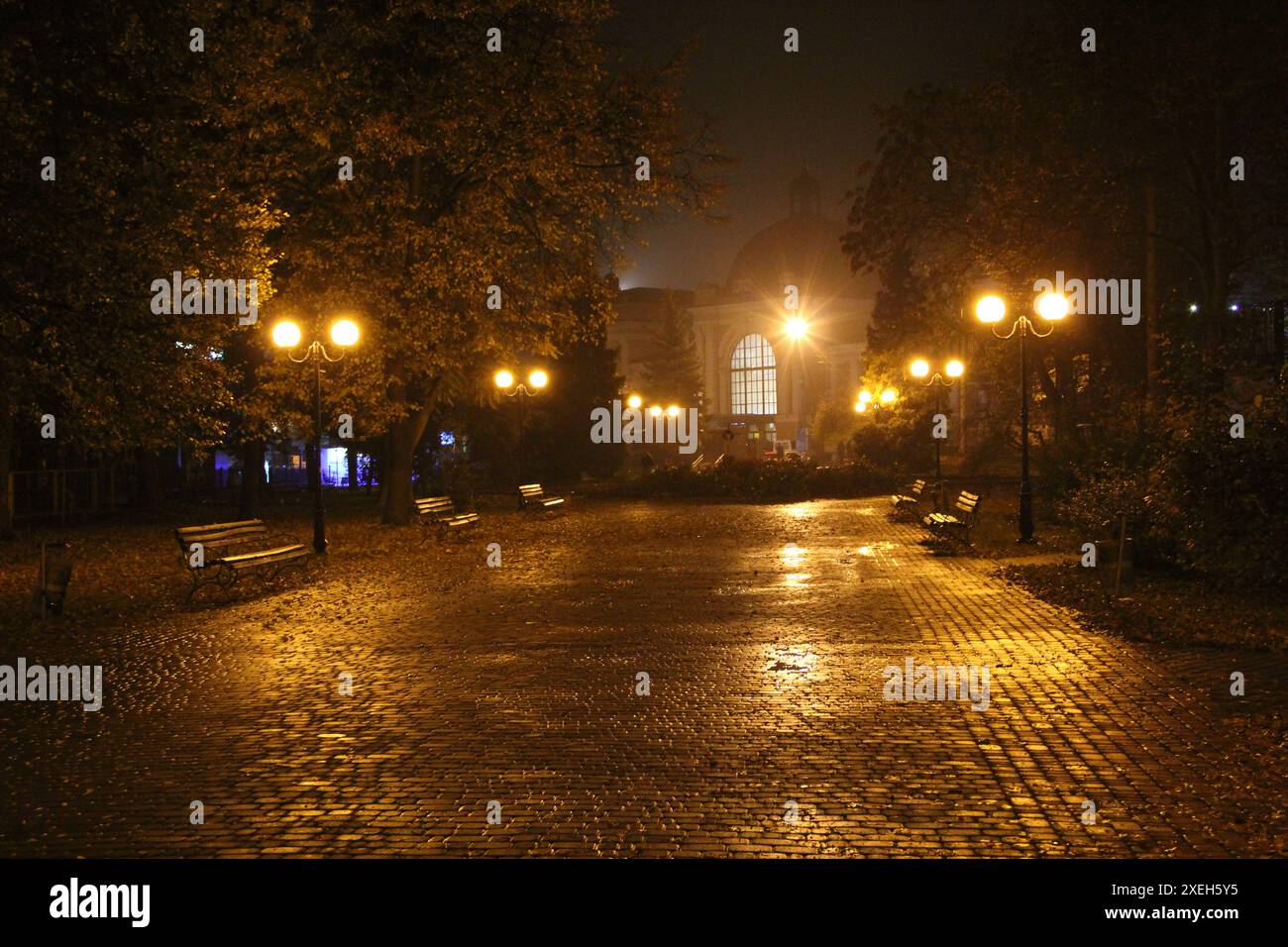 View of night park with burning lanterns and bench. City park at night ...