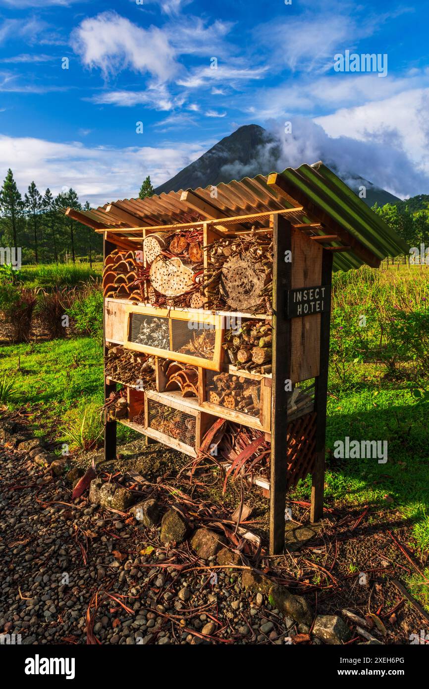 Insect hotel under Arenal Volcano, Arenal Volcano National Park ...