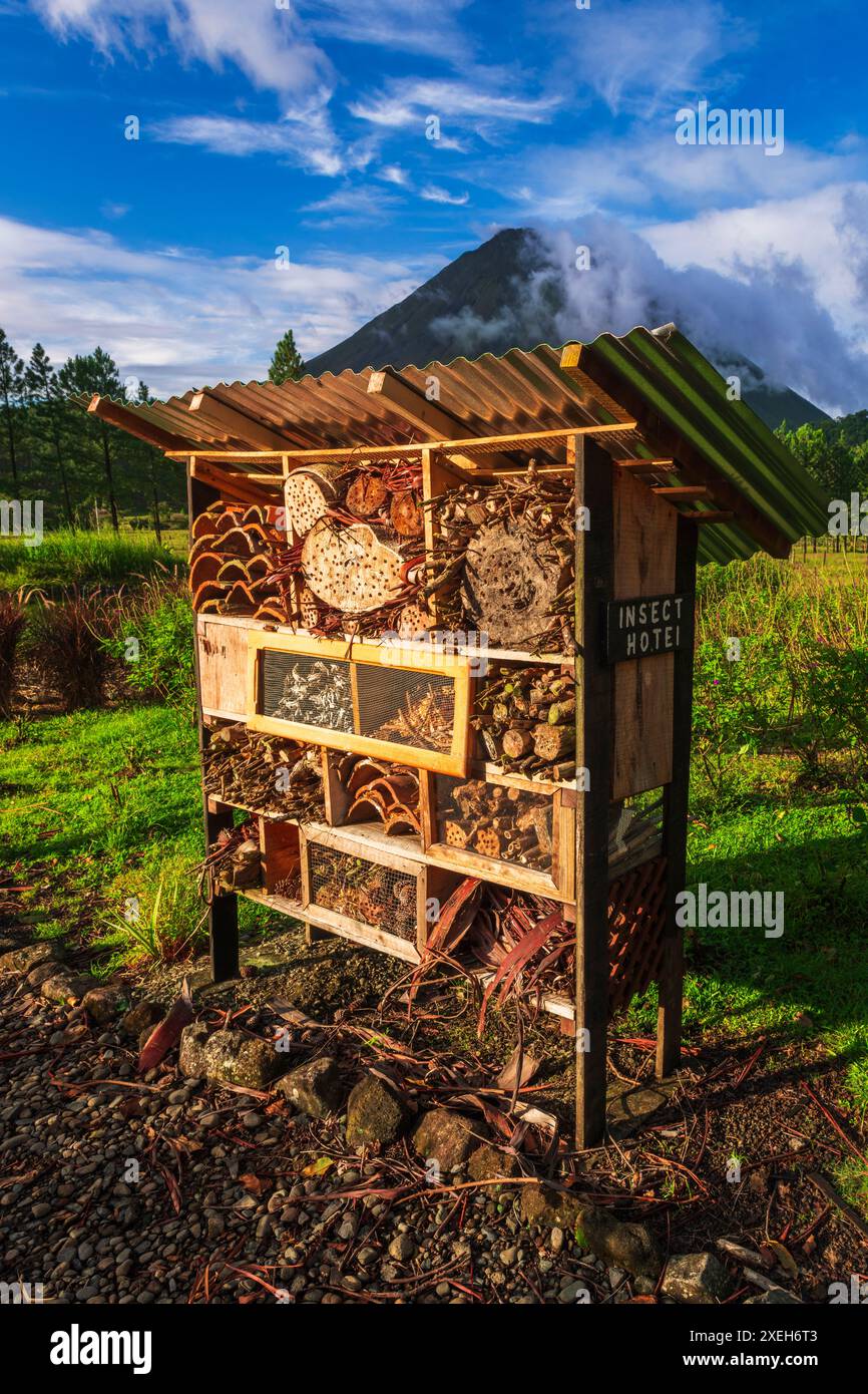 Arenal national park insects hi-res stock photography and images - Alamy