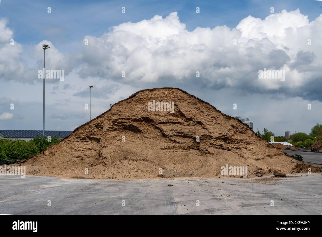 Maize silage in a biogas plant Stock Photo - Alamy