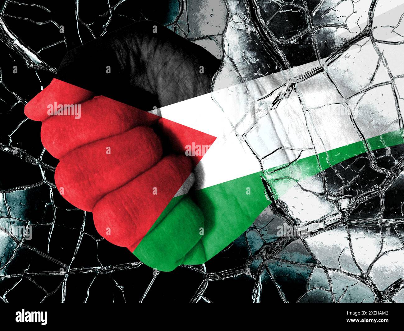 The Palestinian flag is made of a fist and a glass crack. Describe the ...