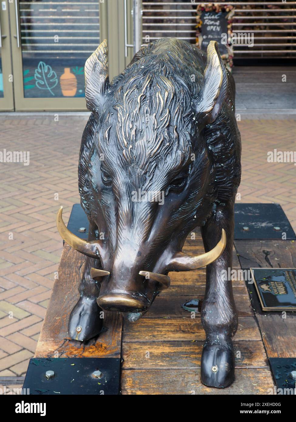 Bronze statue of a boar outside chester market building commemorating ...